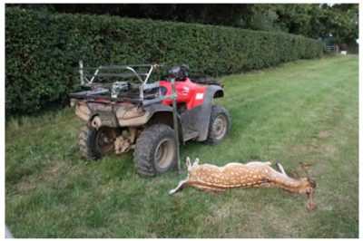 CARCASE HANDLING – Donington Deer Management